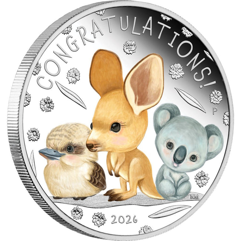 2026 Newborn Baby 1/2oz Silver Proof Coloured Coin | The Perth Mint ...